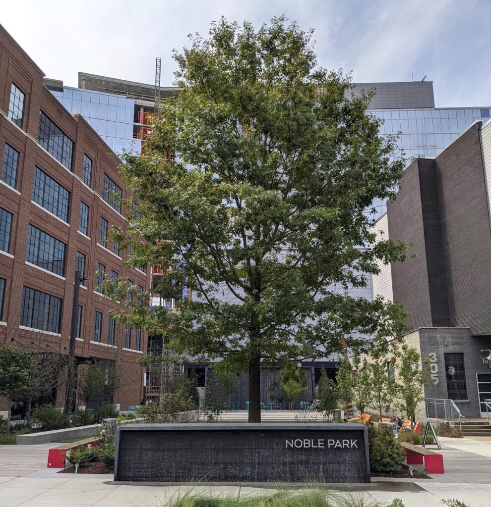 SC&A | Civil Engineering, Urban Forestry, and Water Management